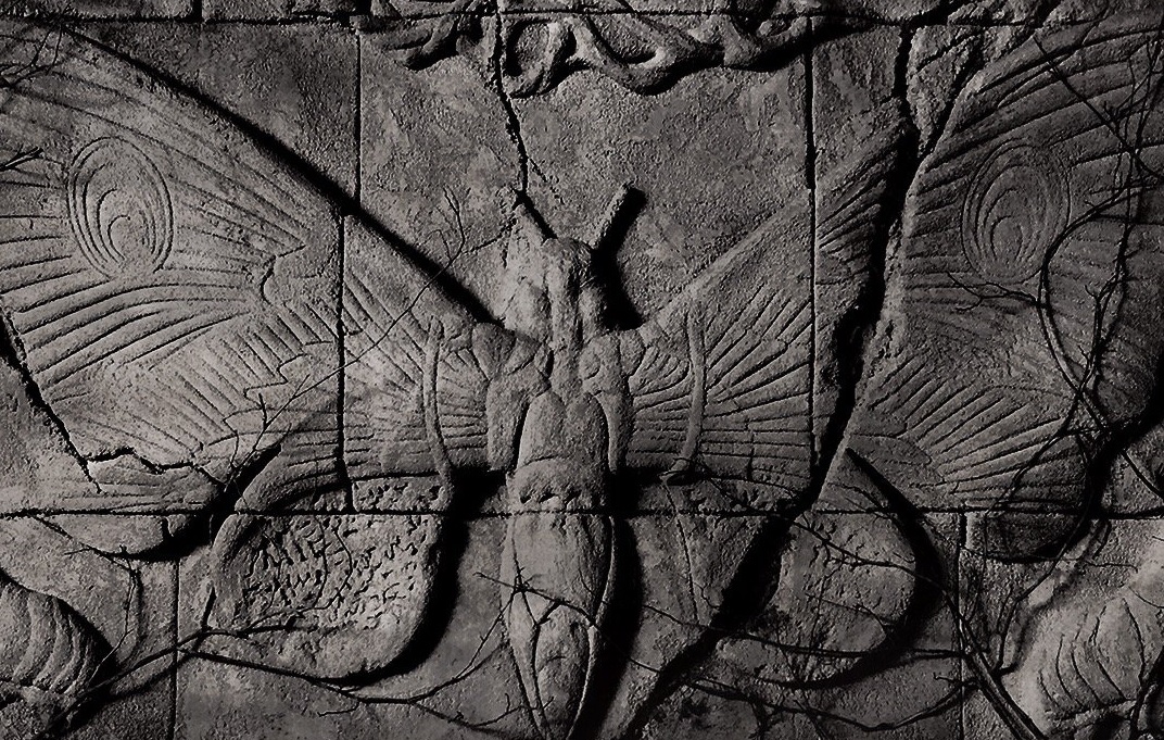 Image Teases MonsterVerse Arrival of Mothra - Bloody Disgusting