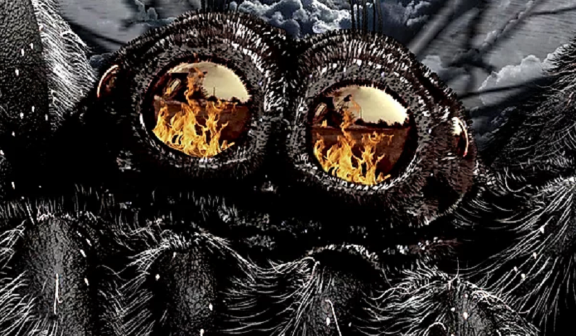They're Tired of Being Stepped On: Creature Feature 'Flying Spiders' in ...